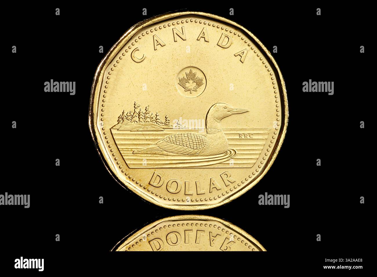 The first Canadian Loonie $1 coin with a portrait of King Charles III ...