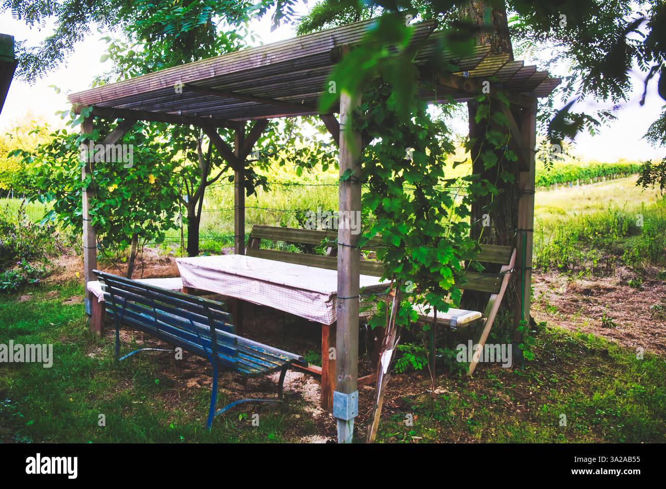 A rustic outdoor seating area with a wooden pergola covered in vines ...