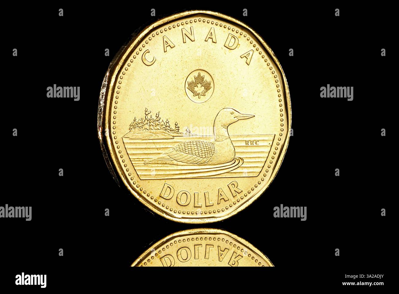 The first Canadian Loonie $1 coin with a portrait of King Charles III ...