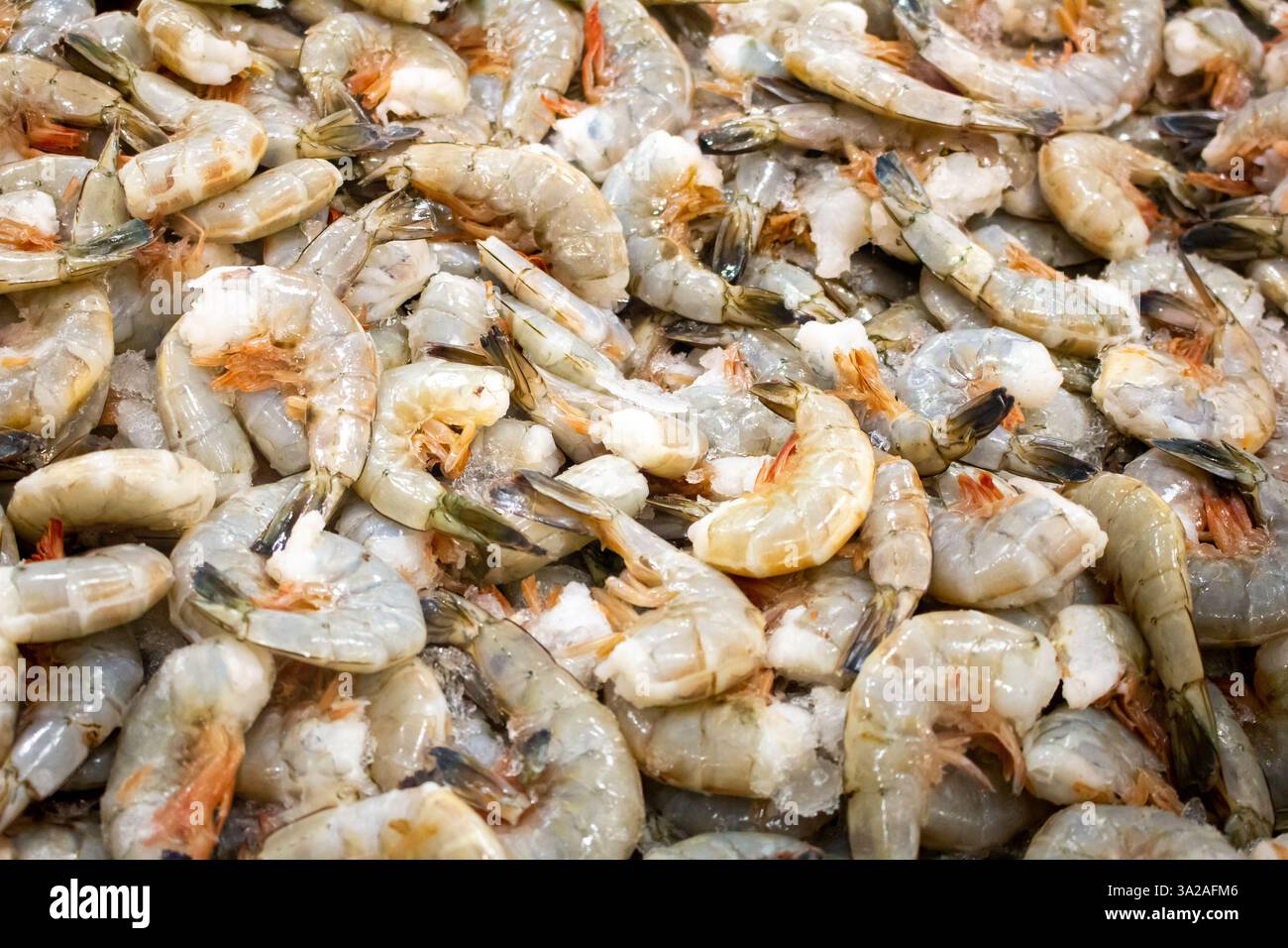 A view of a pile of raw shrimp, on display at a local fish market Stock ...