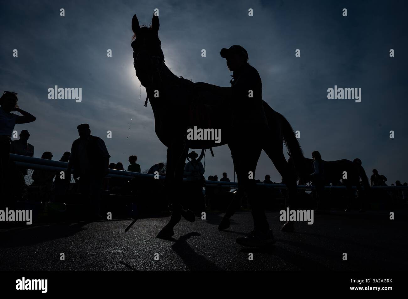 Scenes after Jeux D'Eau and Mr Huw Edwards win the Mixed Open at Bangor ...