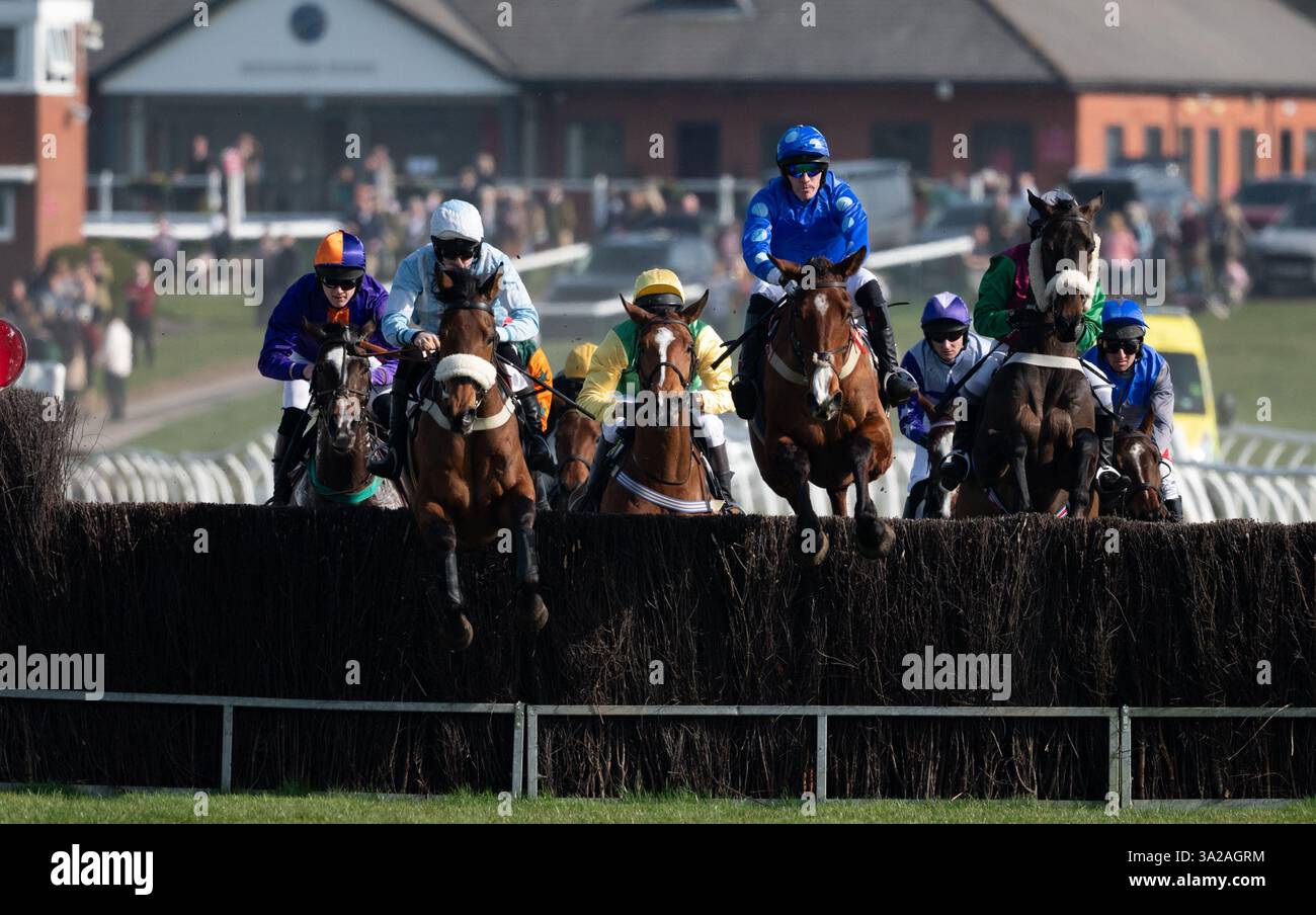 The Five Years & Over Maiden field jump a fence leading away from the ...