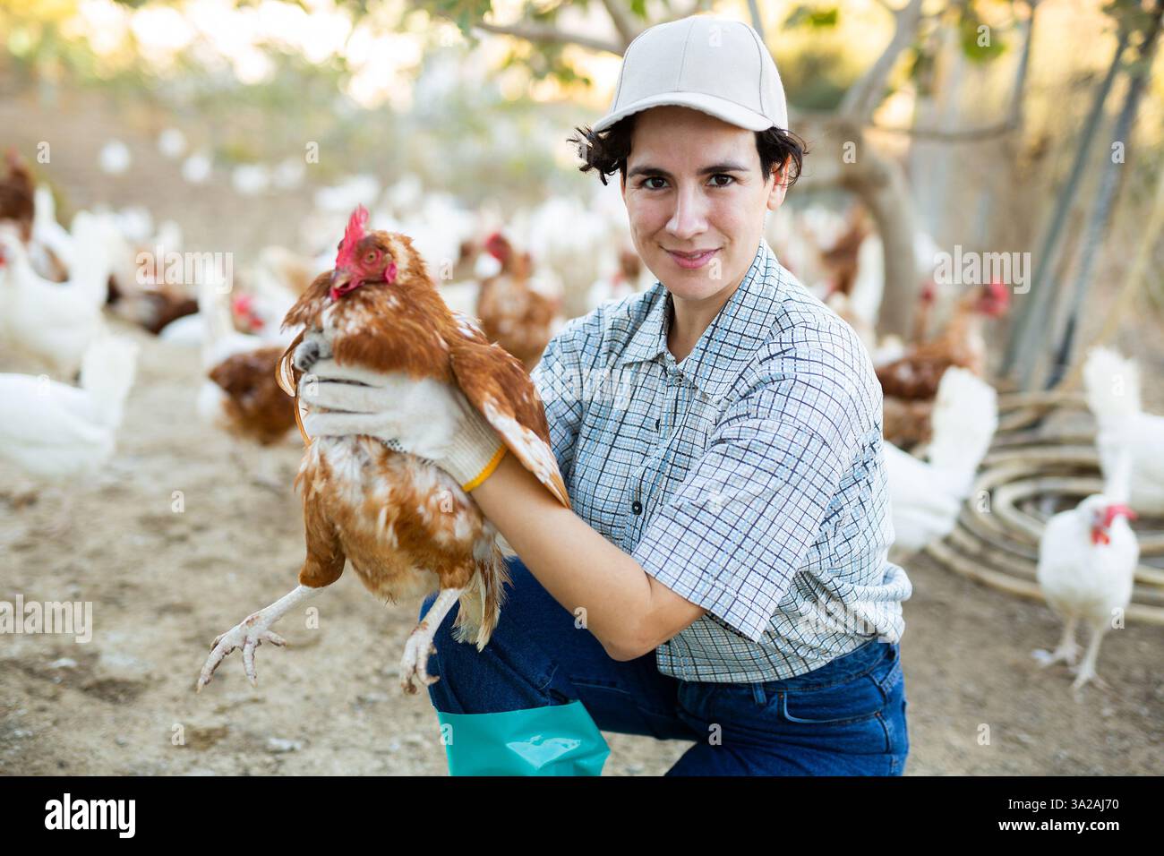 Female farmer holding chicken in poultry farm Stock Photo - Alamy