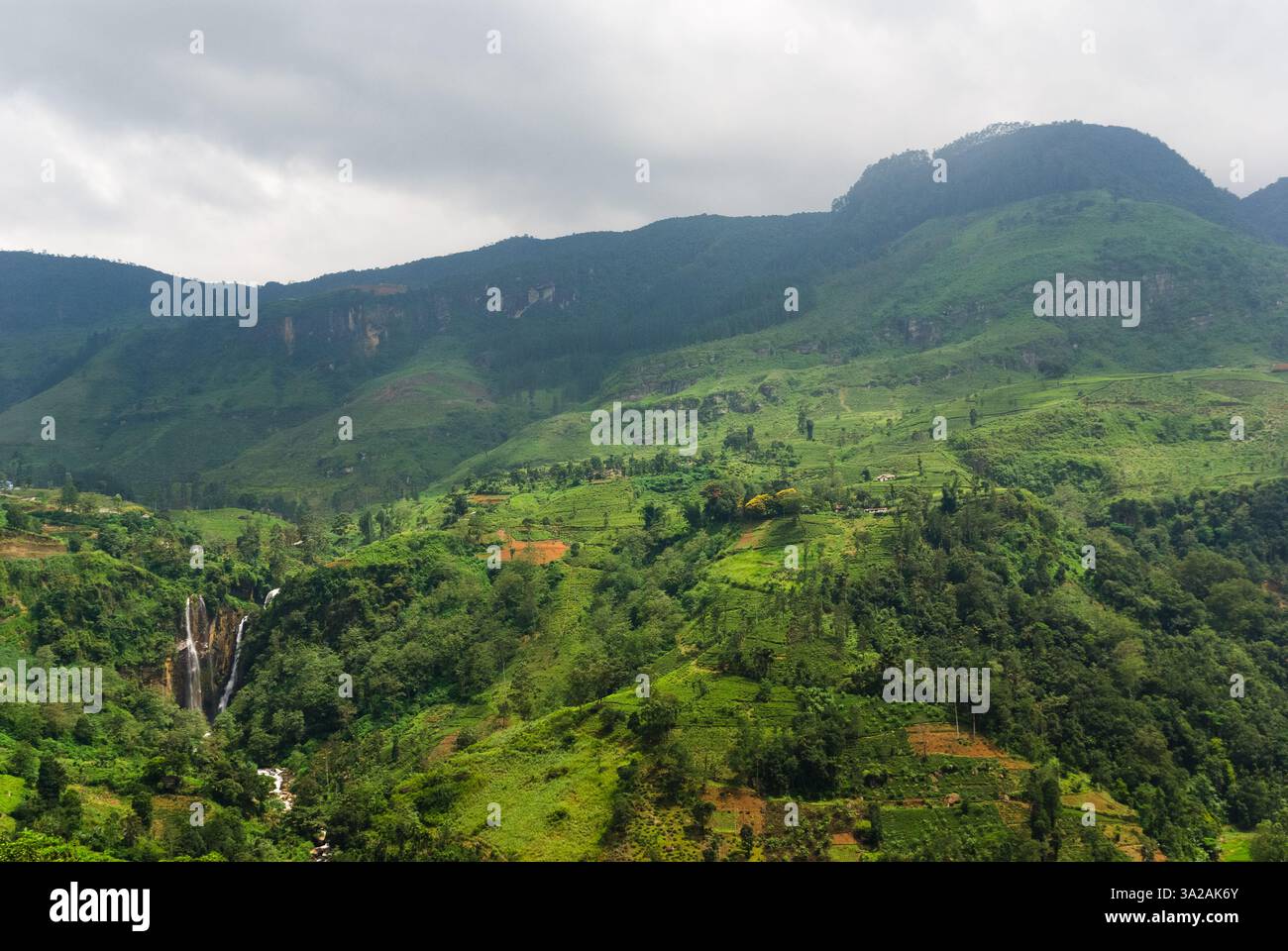 Waterfall in green forest puna hi-res stock photography and images - Alamy