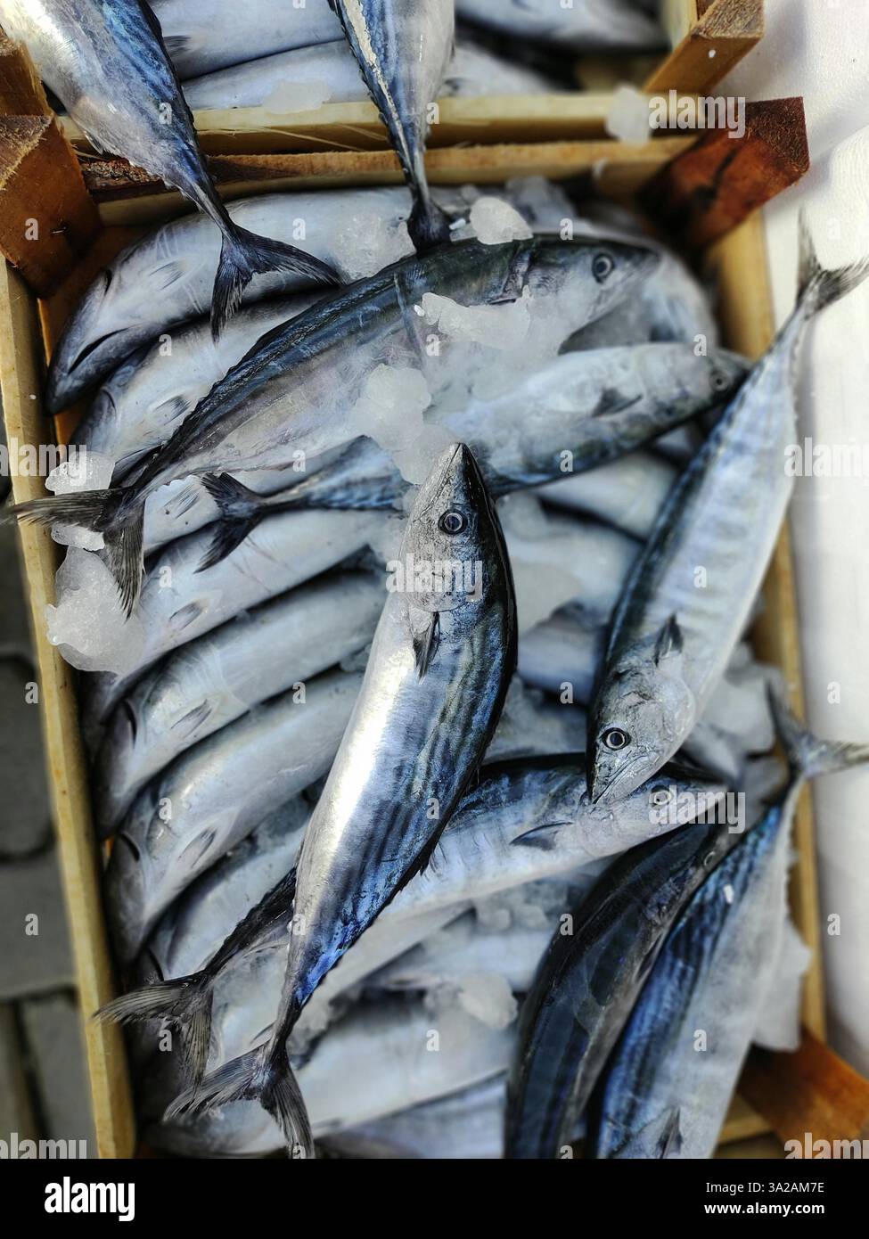 Fresh fish caught in the sea to eat Stock Photo - Alamy