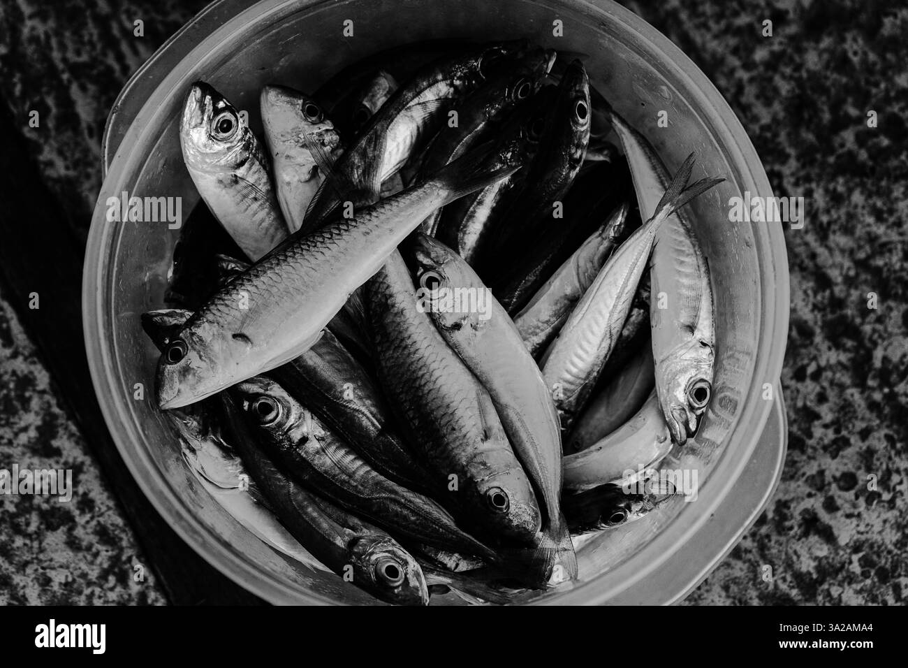 Fresh seafood background Black and White Stock Photos & Images - Alamy