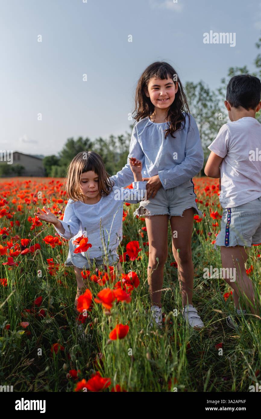 three children playing in a poppy field Stock Photo - Alamy