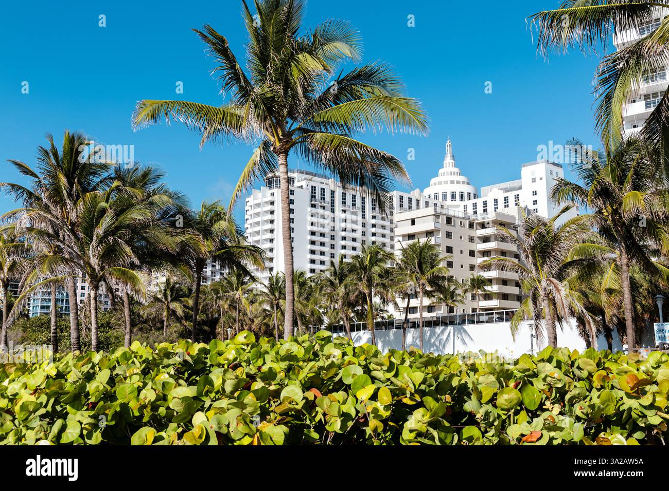 Loews Miami Beach Hotel in Miami Beach, Florida, USA Stock Photo - Alamy
