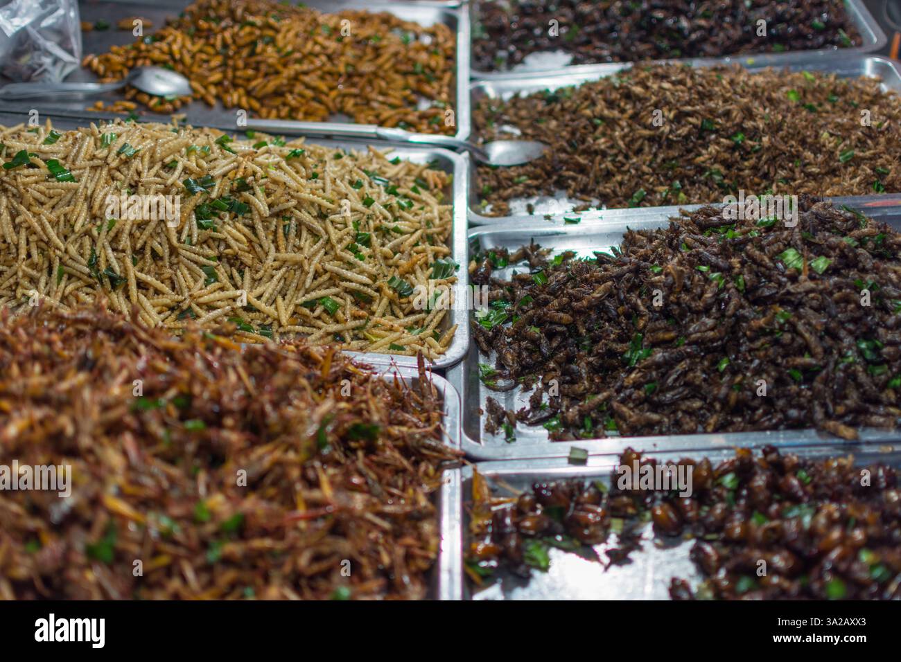 Fried insects various types is the food is easy to find in Thai street ...