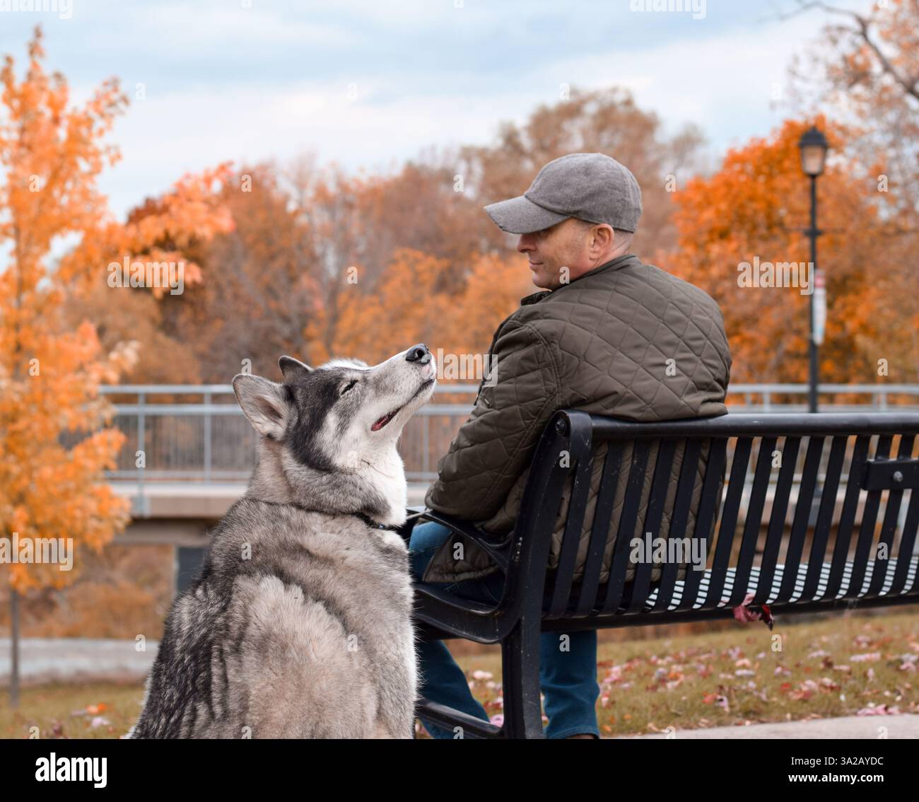 Dog owner on a park bench hi-res stock photography and images - Alamy