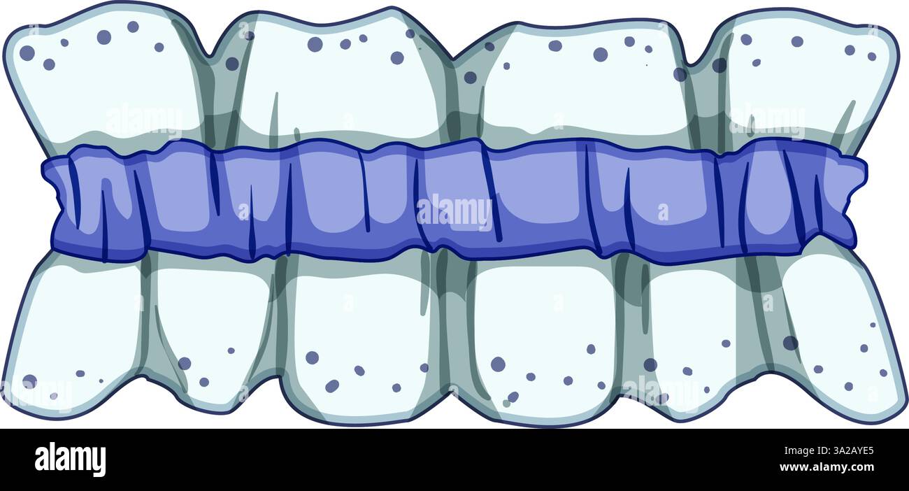 catch garter wedding cartoon vector illustration Stock Vector Image ...