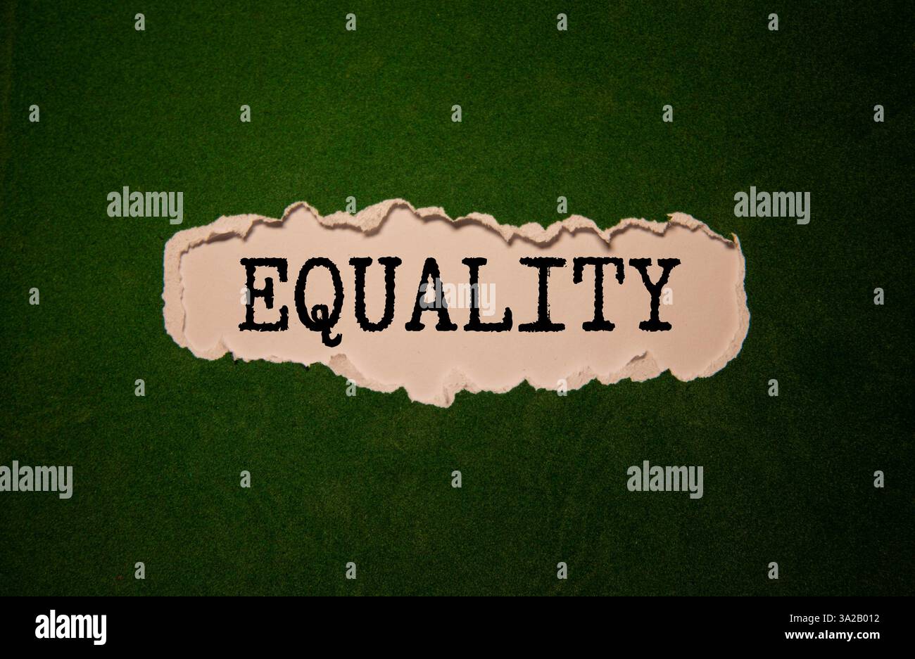 Diversity inclusion concept chart hi-res stock photography and images ...