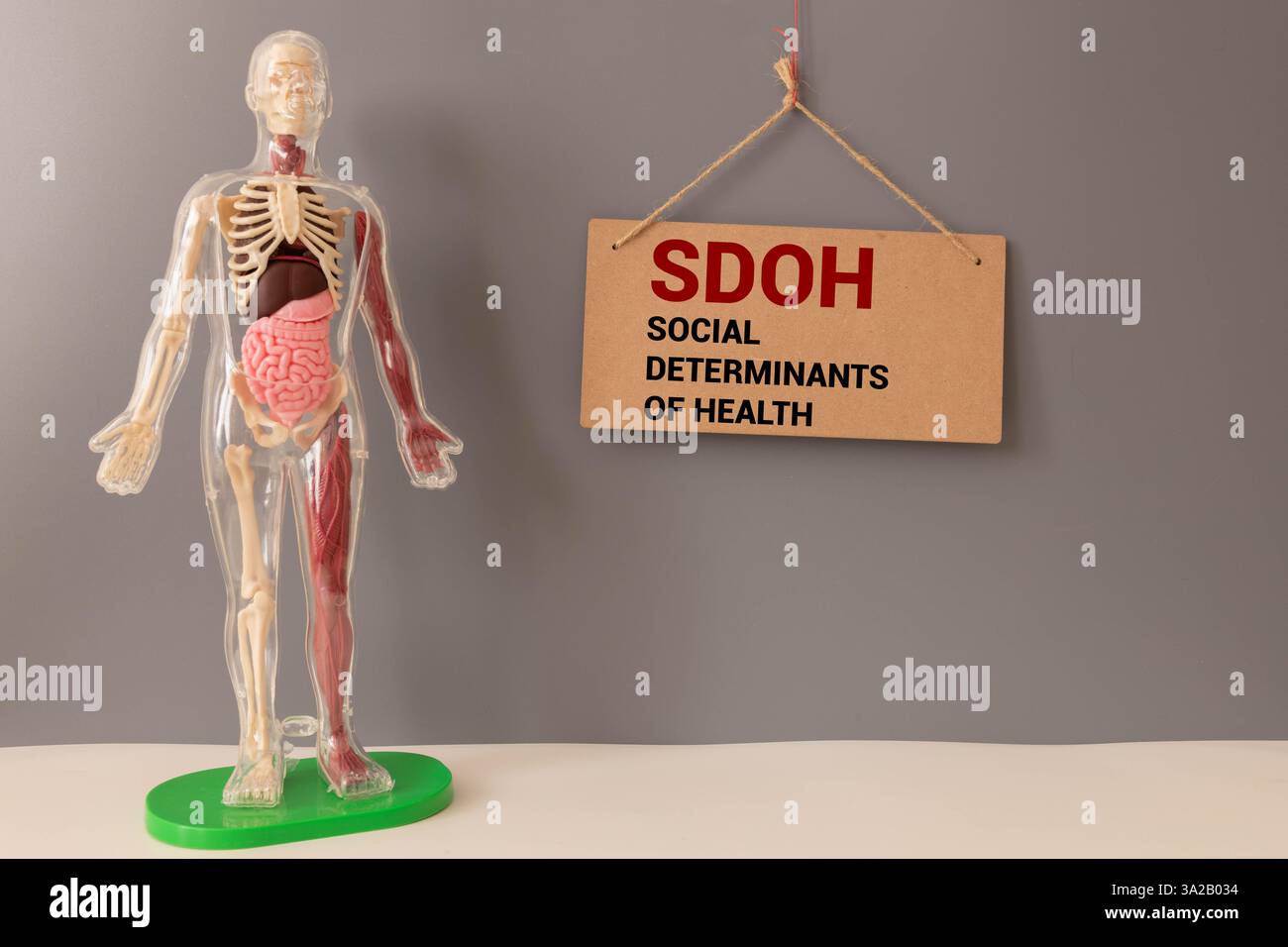 Social determinants of health hi-res stock photography and images - Alamy