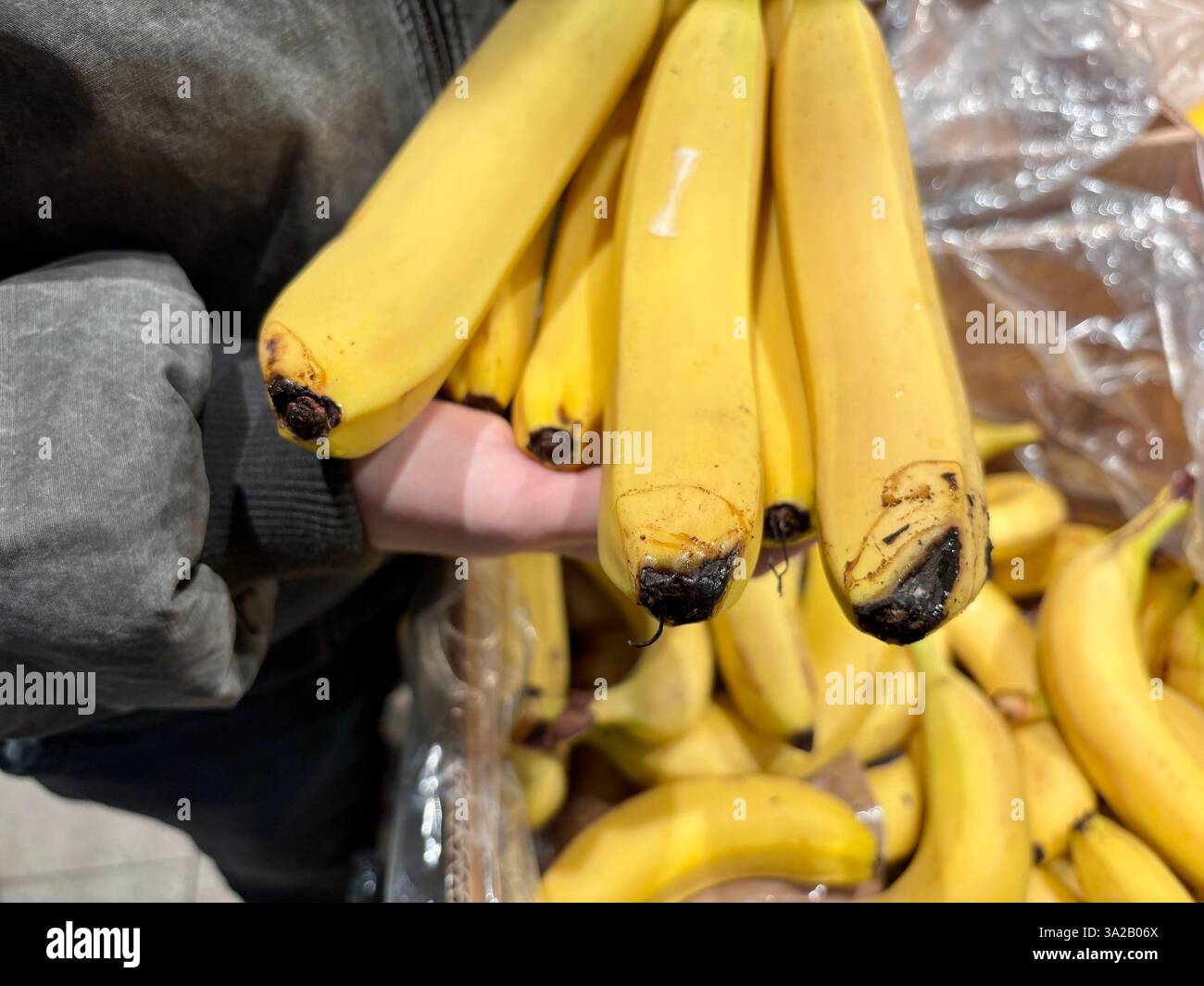Spoiled Bananas in Hand at Store Food Waste and Global Scarcity. High ...