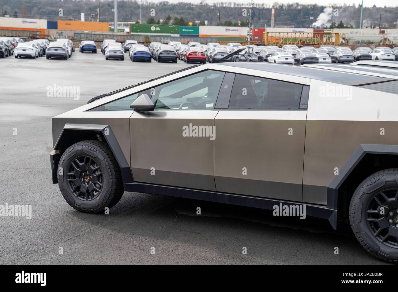 Seattle, Washington, USA. 12th Mar, 2025. A row of brand-new Tesla ...