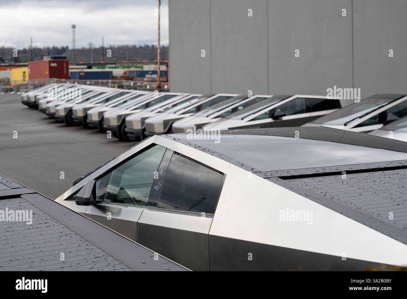 Seattle, Washington, USA. 12th Mar, 2025. A row of brand-new Tesla ...