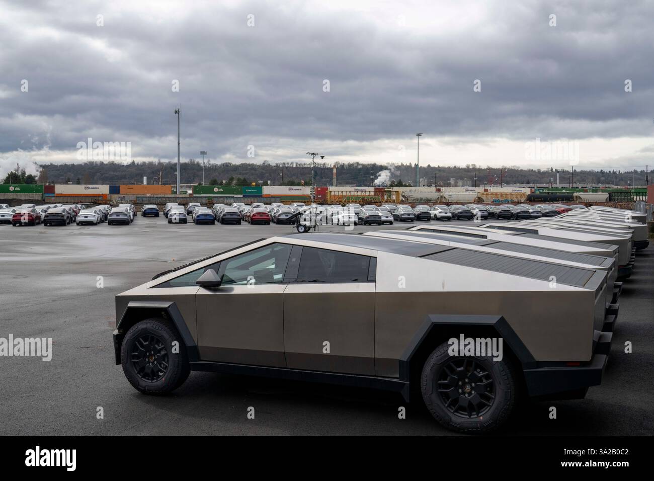Seattle, Washington, USA. 12th Mar, 2025. A row of brand-new Tesla ...
