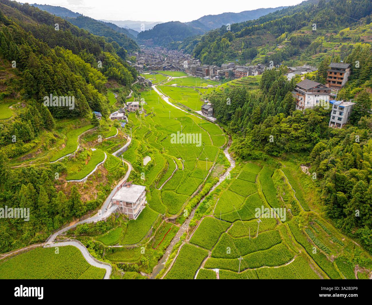 Rice fields in Zhaoxing Dong Village in Liping County, Guizhou Province ...