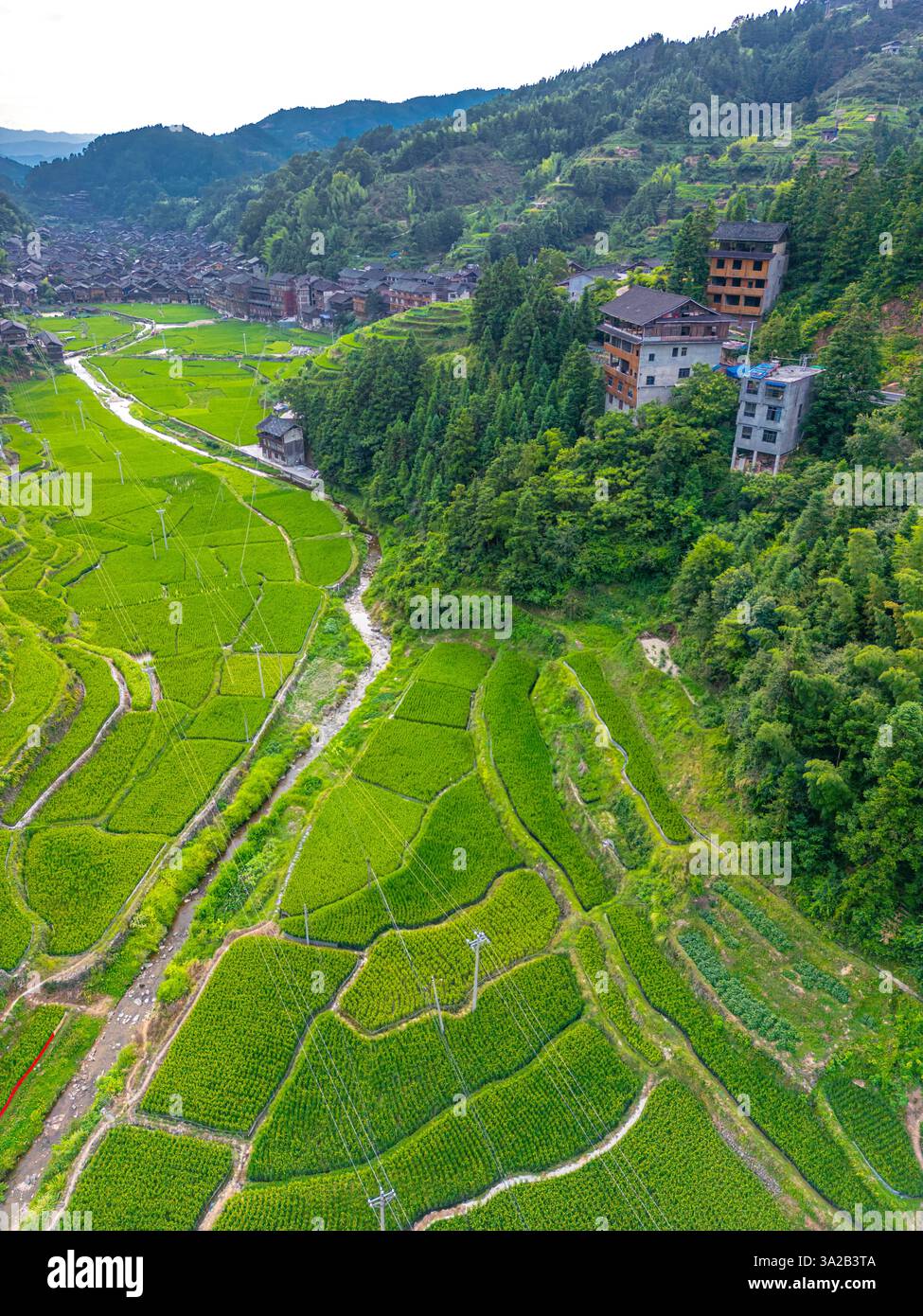 Landscape in Zhaoxing Dong village Guizhou China, aerial of the rice ...