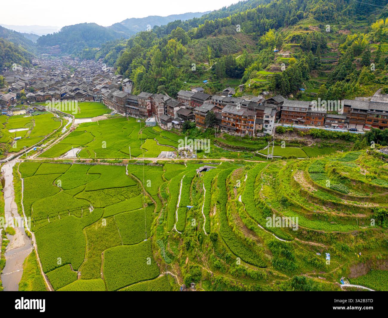 Aerial view of a paddy fields and the Zhaoxing Dong Village in Liping County, Guizhou Province ...