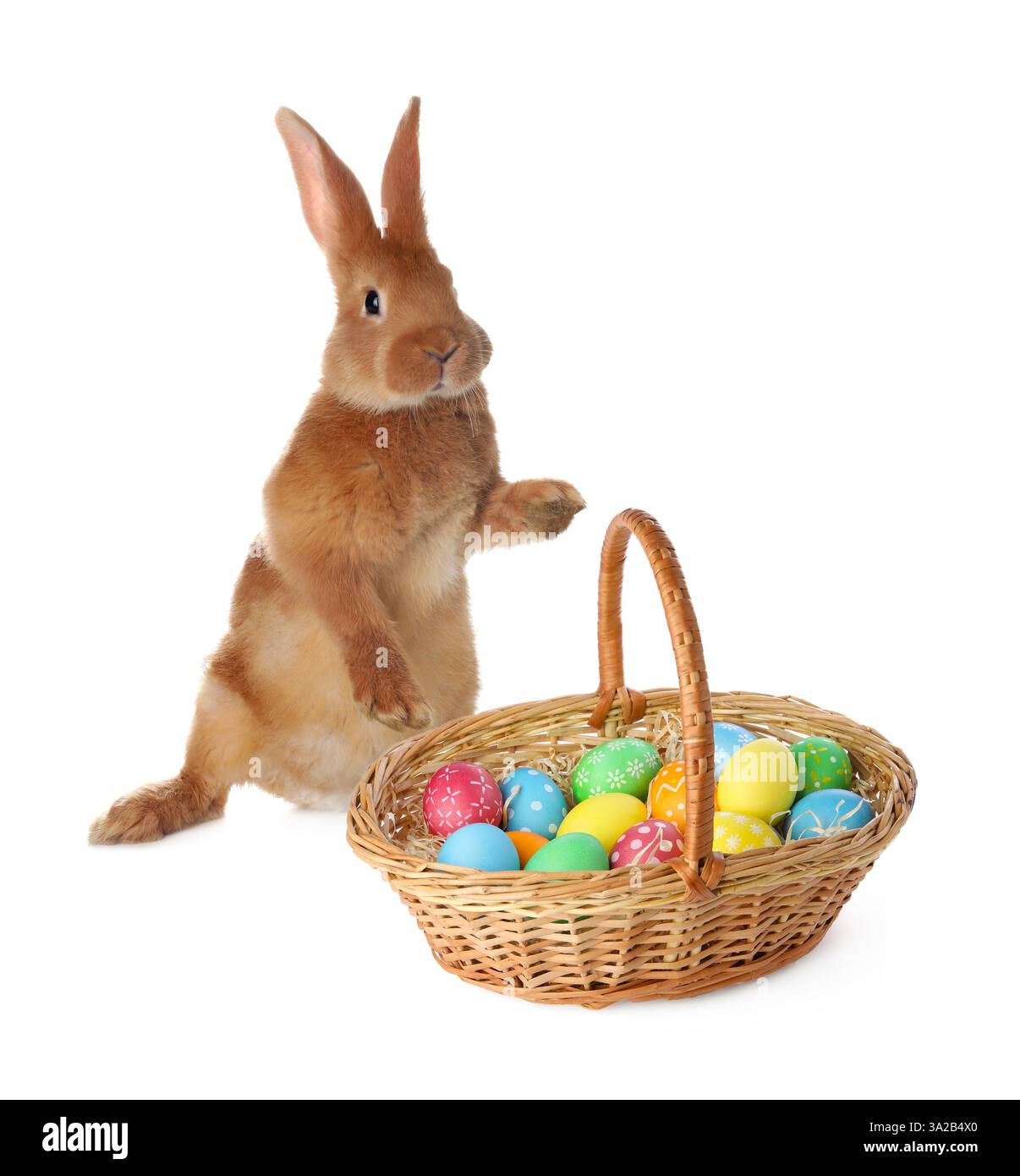 Holiday card cute ginger Cut Out Stock Images & Pictures - Alamy