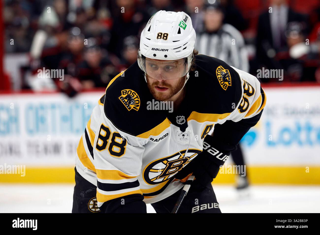 Boston Bruins' David Pastrnak (88) watches the puck against the ...