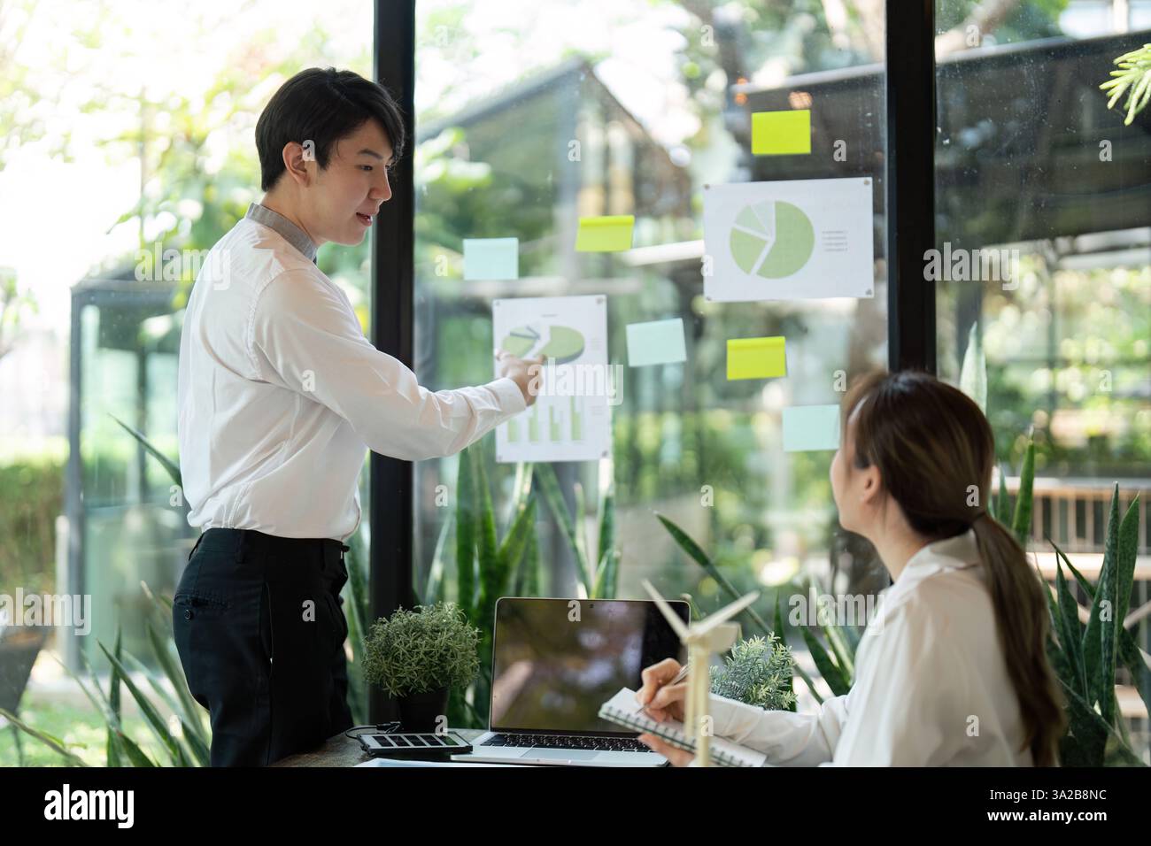 Sustainability and Leadership. A professional presenting renewable ...