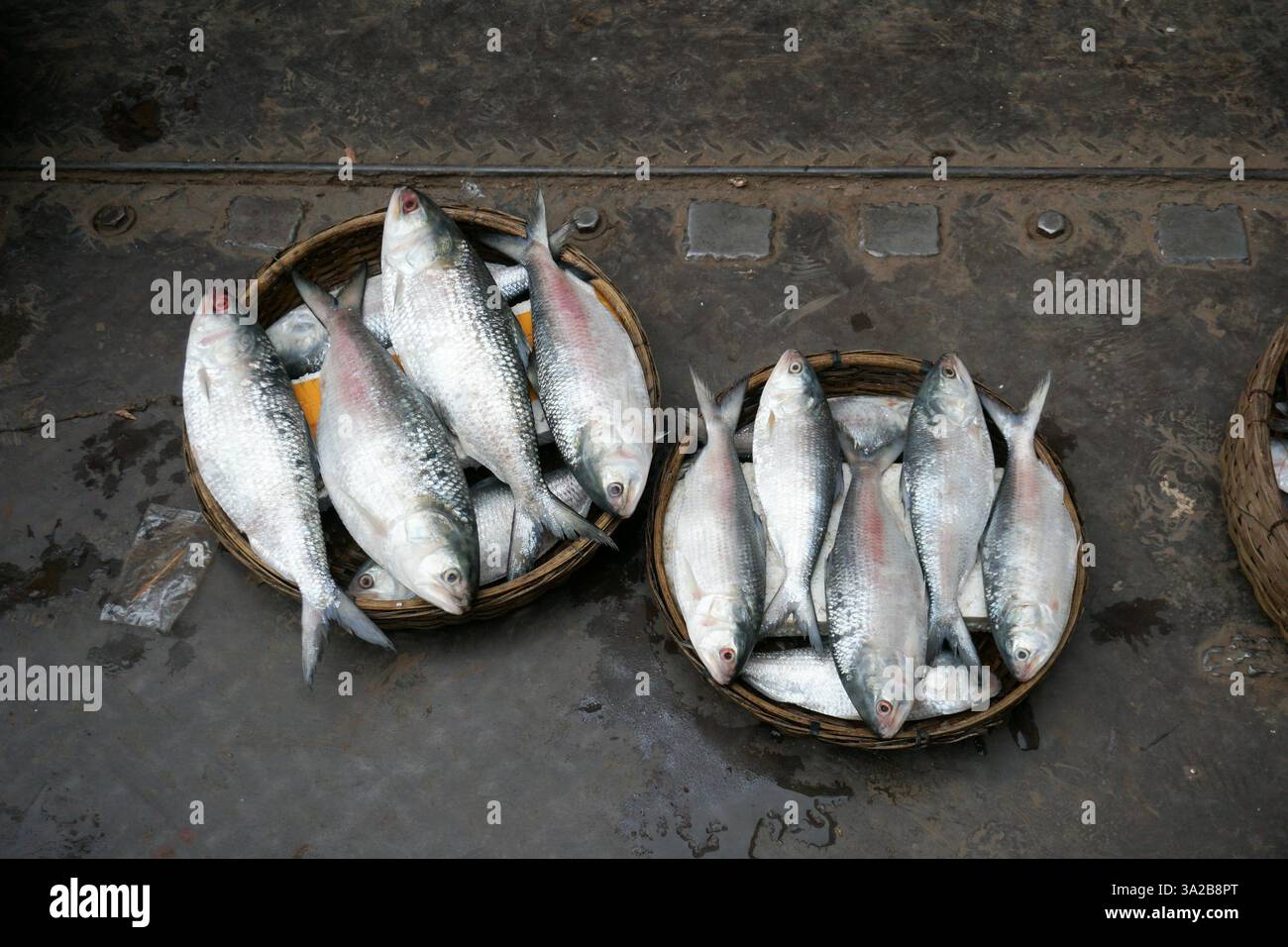 delicious fresh fish to eat Stock Photo - Alamy