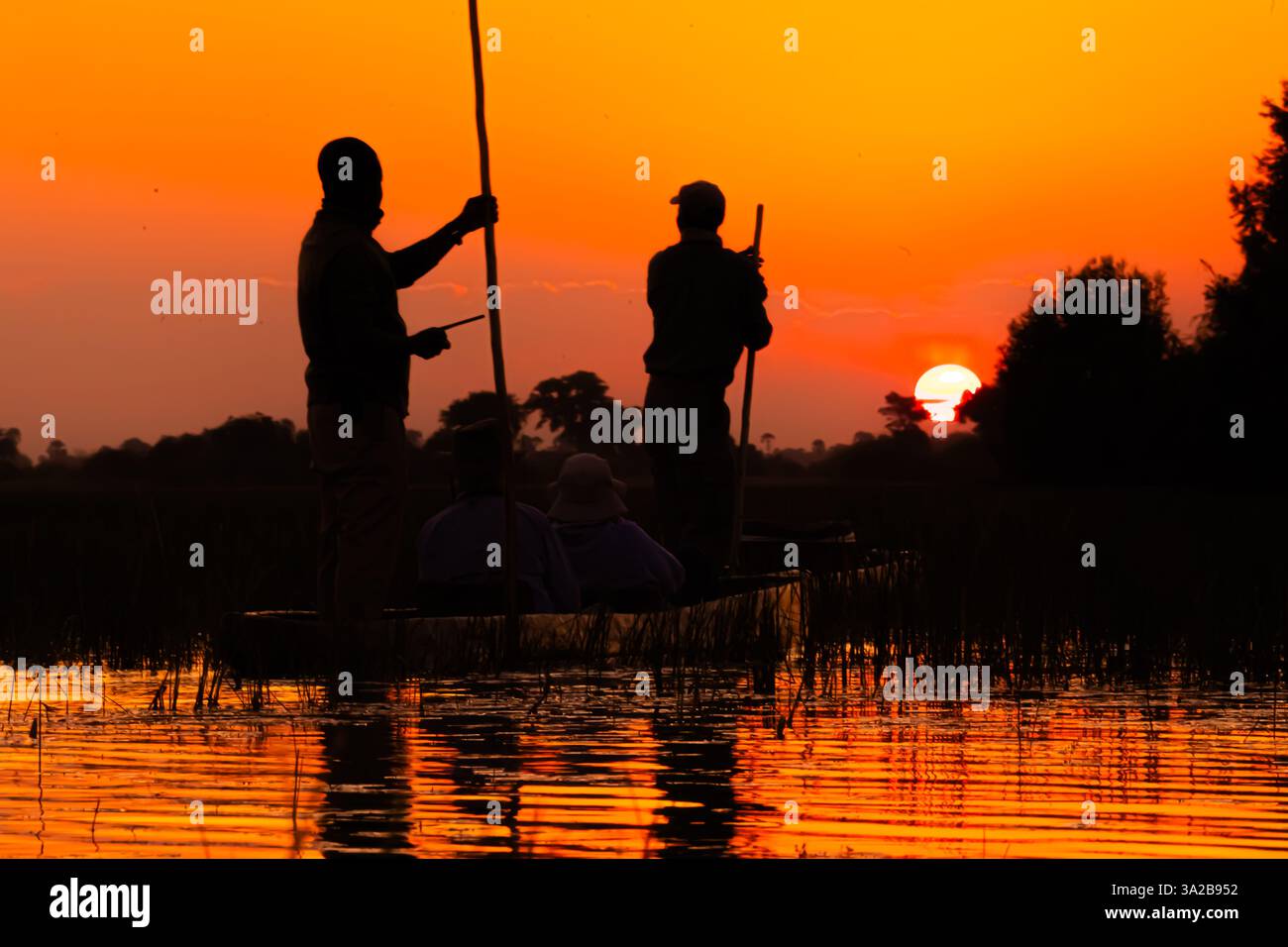 Water safari at sunset in a traditional mokoro on the Okavango Delta in ...