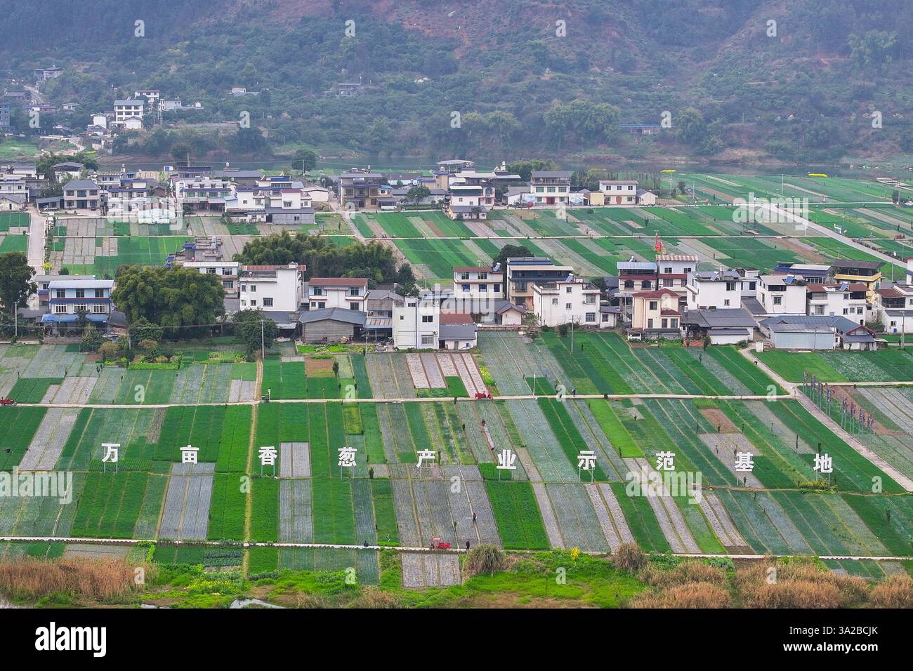 Meishan,China.12th March 2025. Aerial views captured a breathtaking ...