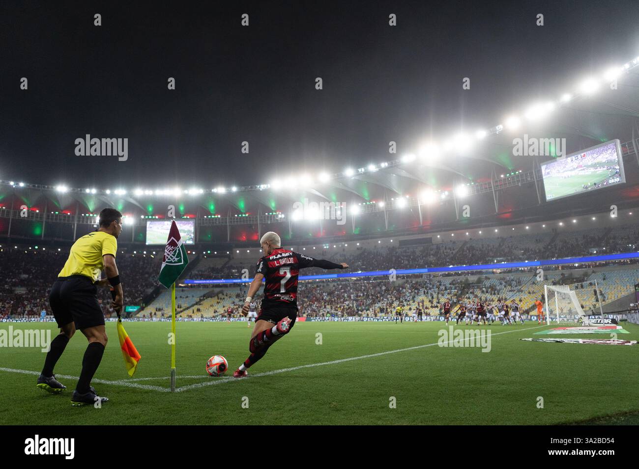 Rio De Janeiro, Brazil. 12th Mar, 2025. RIO DE JANEIRO, BRAZIL - FEBRUARY 12: LUIS ARAUJO of ...