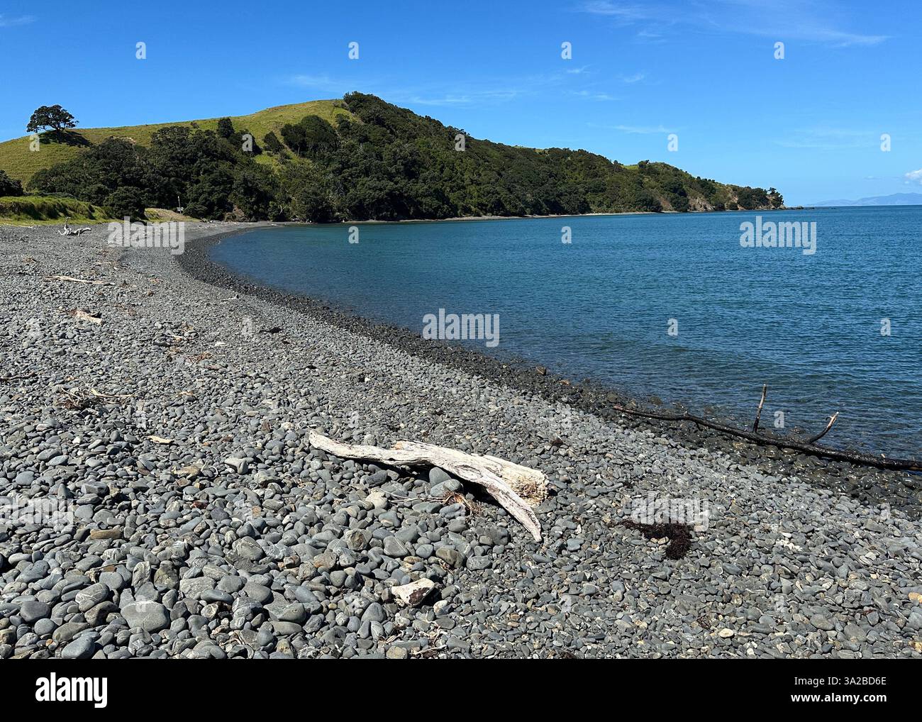 Stony beach on Jones Bay in Tāwharanui Regional Park Stock Photo - Alamy