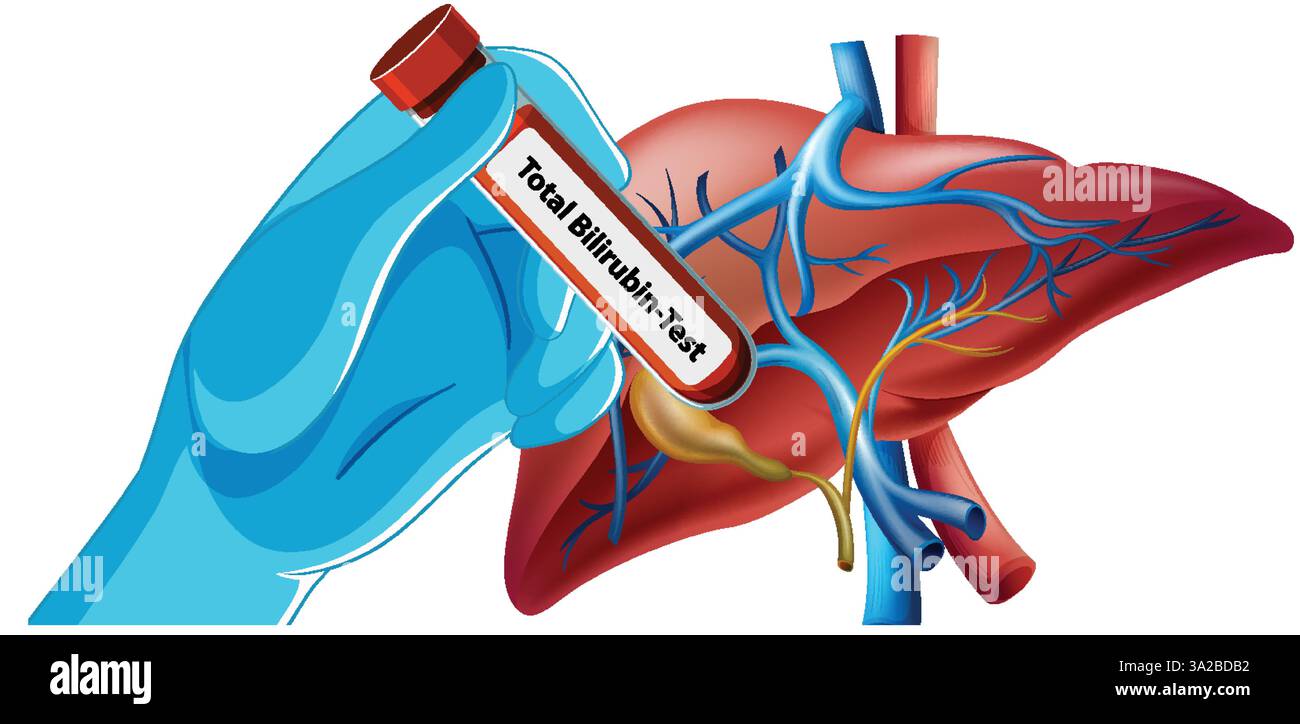 Hand holding test tube near detailed liver illustration Stock Vector ...