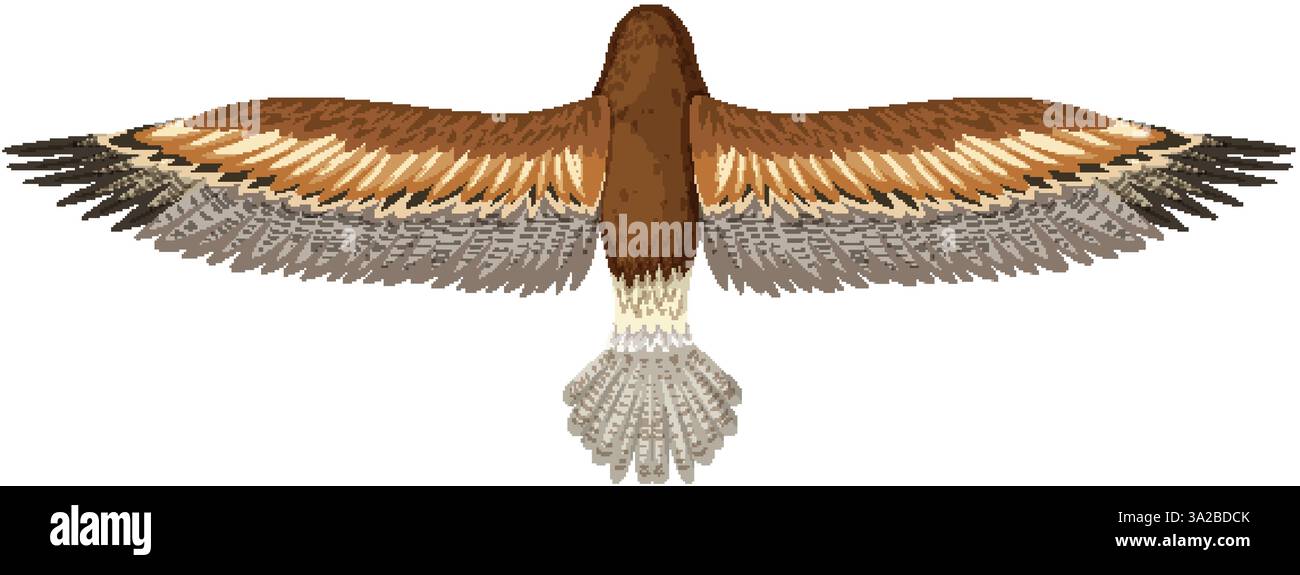 Bird in the ecosystem Stock Vector Images - Alamy