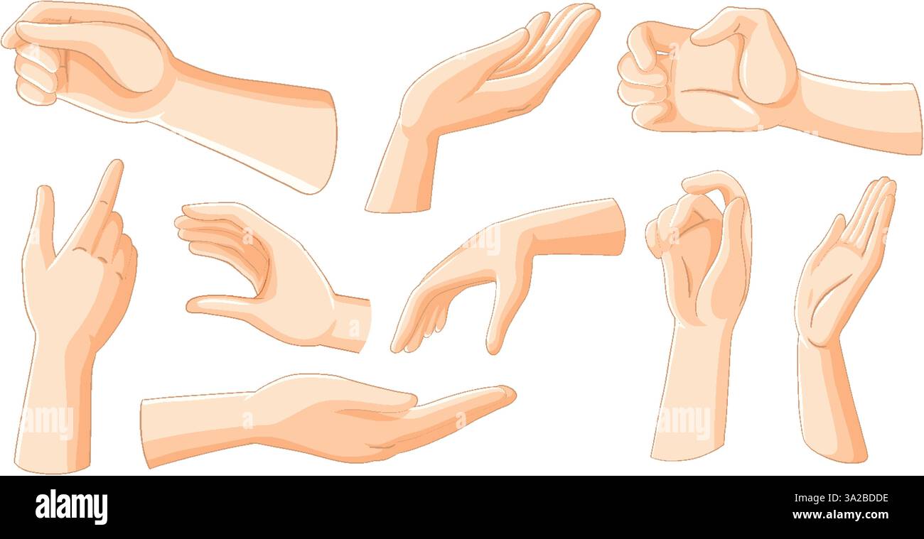 Vector illustration of different hand gestures Stock Vector Image & Art - Alamy