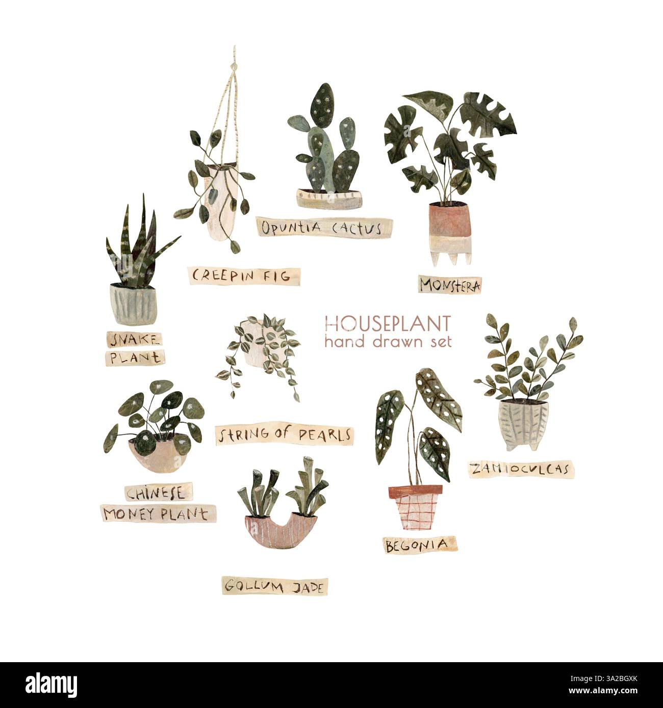 Set of potted home plants with text plates. Isolated on white ...