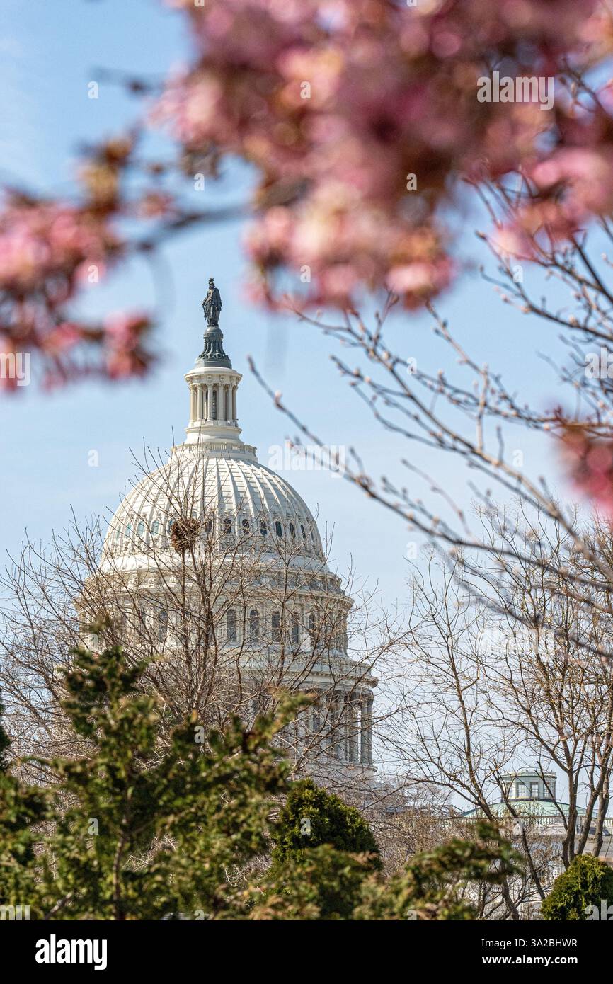 Washignton, United States. 12th Mar, 2025. The U.S. Capitol dome and ...