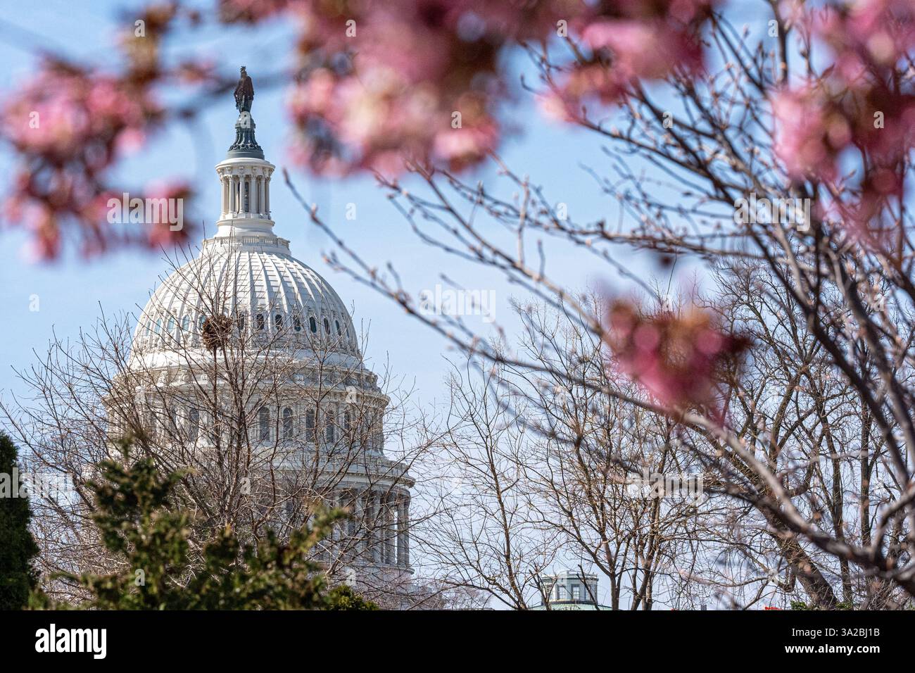Washignton, United States. 12th Mar, 2025. The U.S. Capitol dome and ...