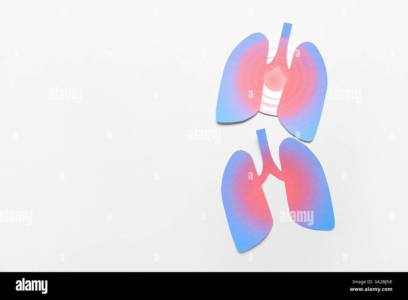 Paper lungs on grey background Stock Photo - Alamy