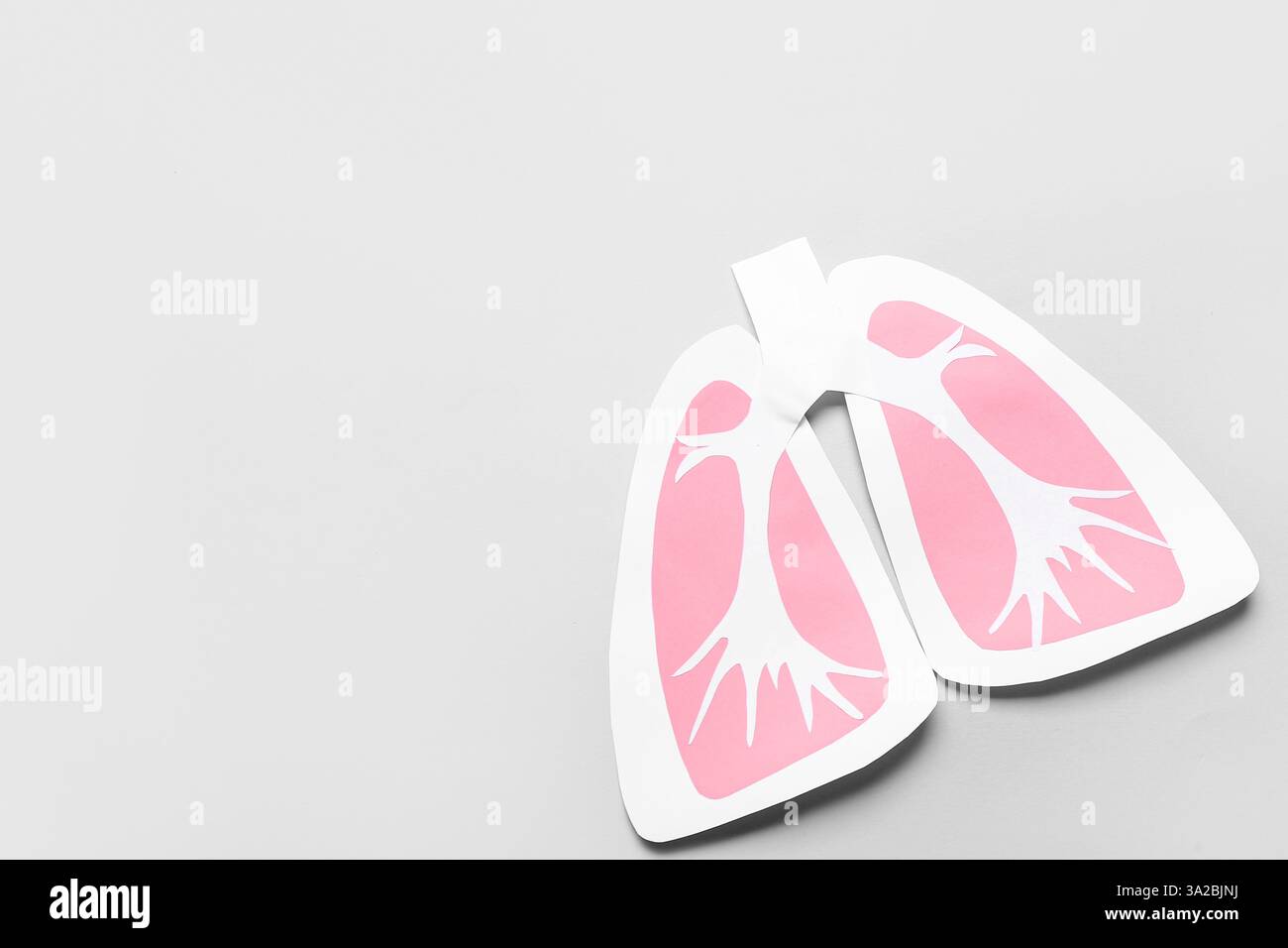 Paper lungs on grey background Stock Photo - Alamy
