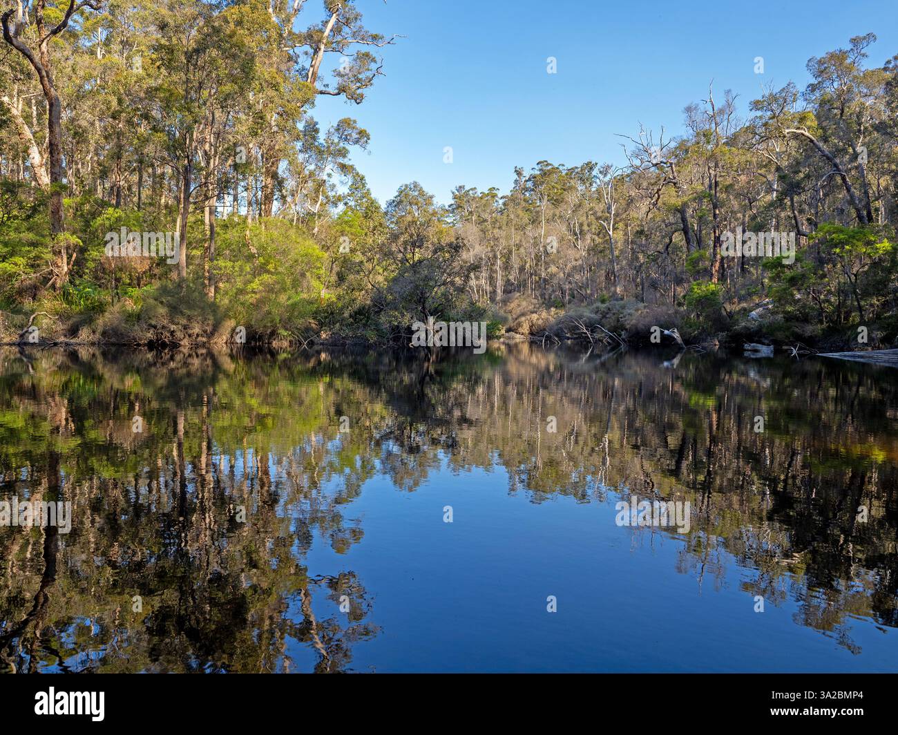 Glenoran Pool in the Donnelly River at One Tree Bridge Stock Photo - Alamy