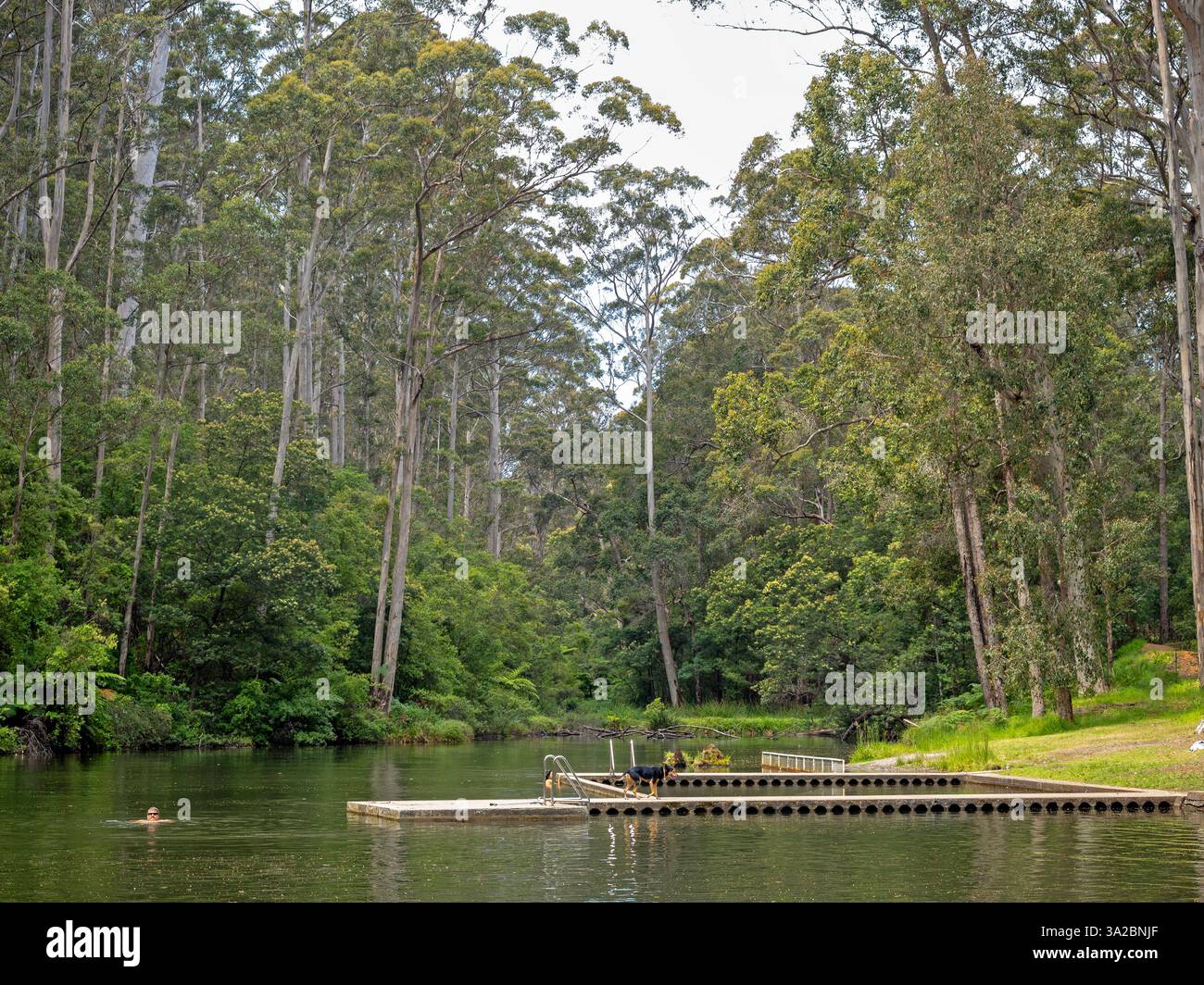 Pemberton pool western australia hi-res stock photography and images ...