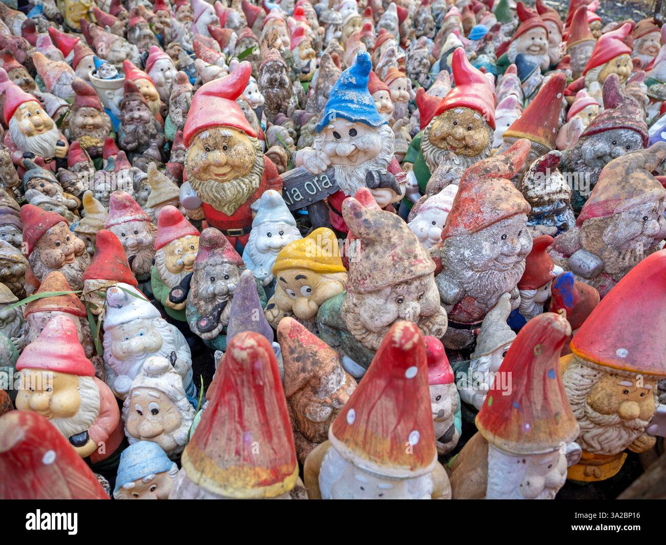 The large collection of gnomes in Quinninup Stock Photo - Alamy
