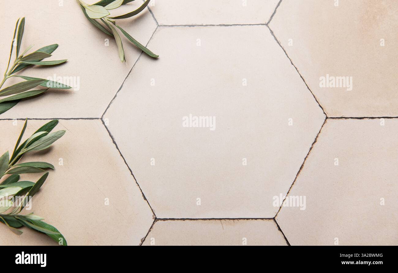 Olive branches elegantly frame hexagonal tiles, creating a rustic yet ...