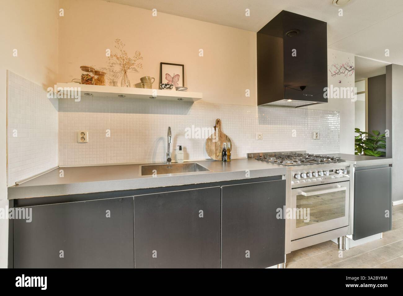 A sleek modern kitchen featuring stainless steel appliances, minimalist ...