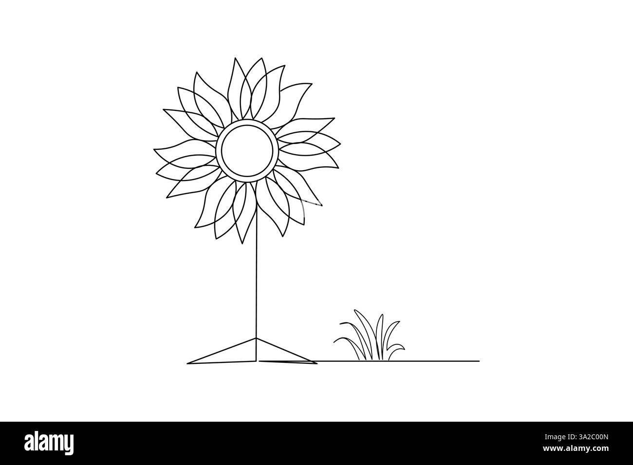 Wildflower outline Cut Out Stock Images & Pictures - Alamy