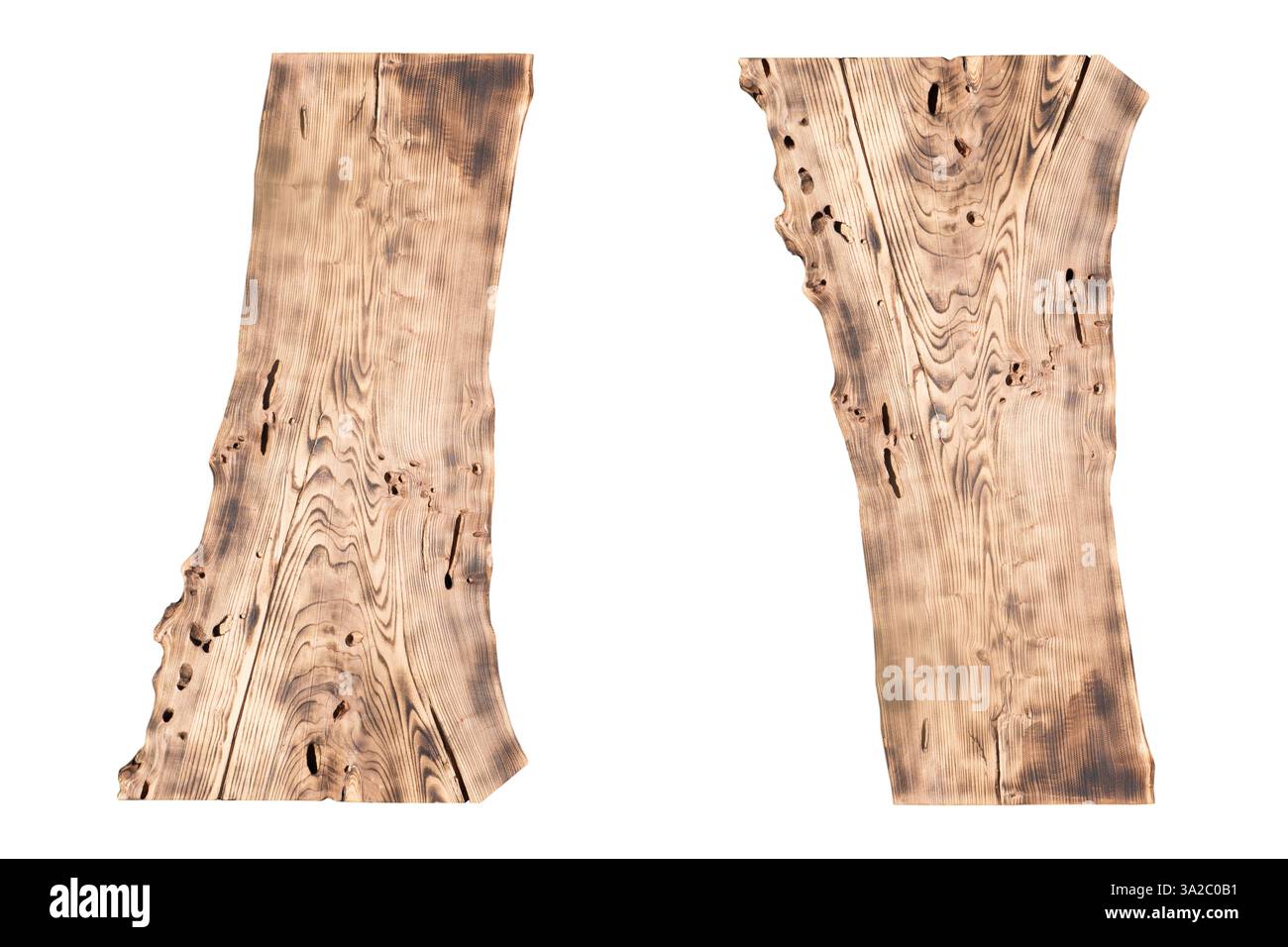 Production of a wooden table from an array of Karagach. Wood Slabs ...