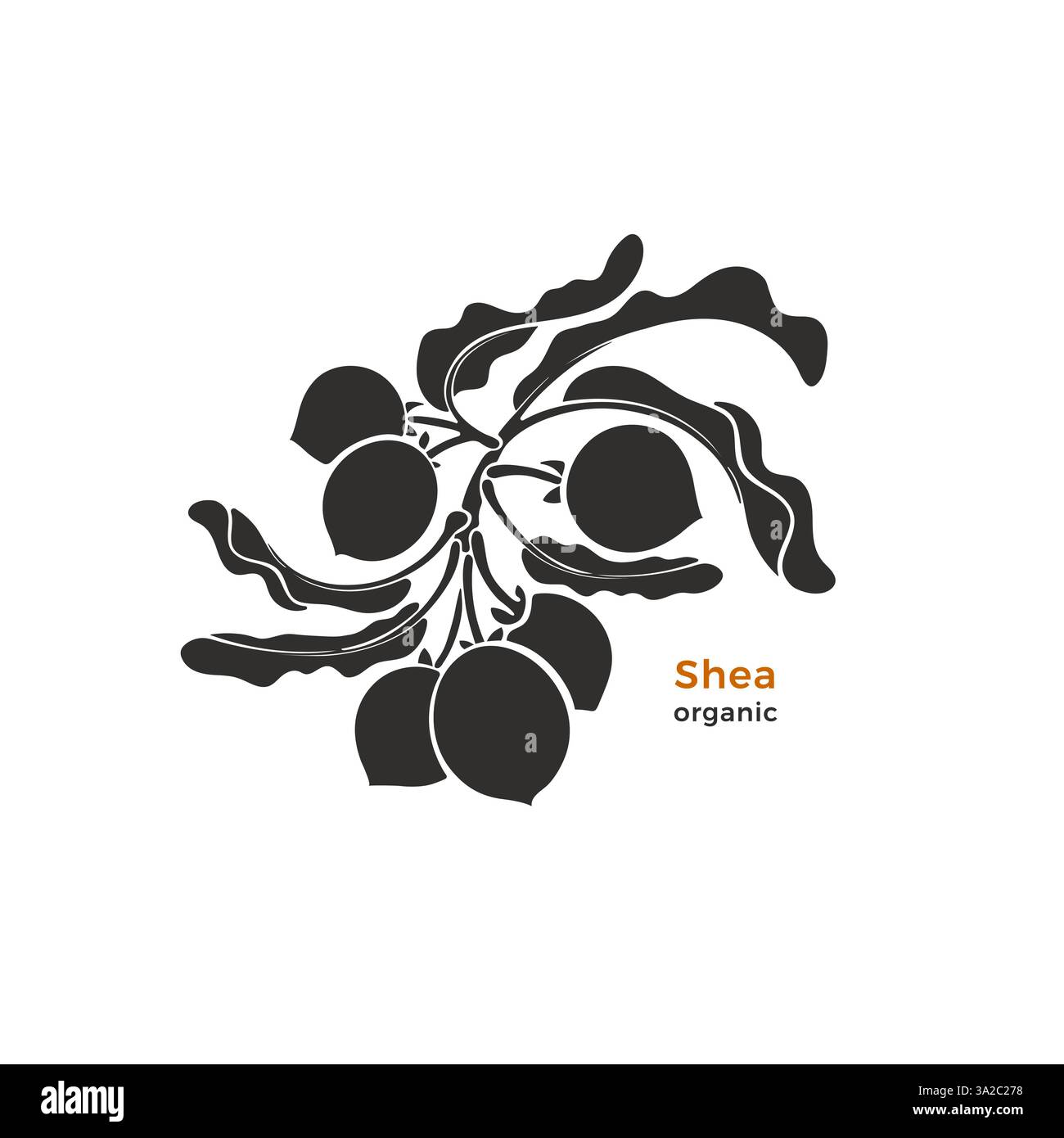 Shea branch print. Vector silhouette of nuts, leaves. Nature symbol ...