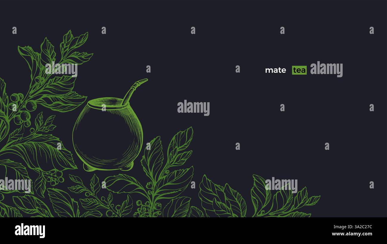 Yerba mate. Green plant set, calabash. Vector fresh bush, sketch leaves ...