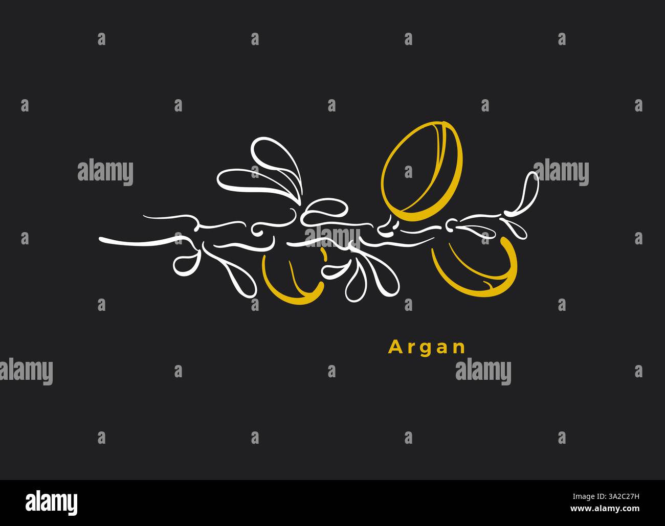 Argan branch symbol. Vector art line nuts, graphic leaf. Organic ...